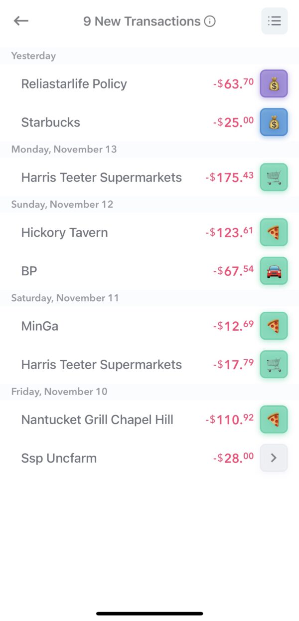 Transaction Review List - Weekly | A Budget Planner and Spending Tracker
